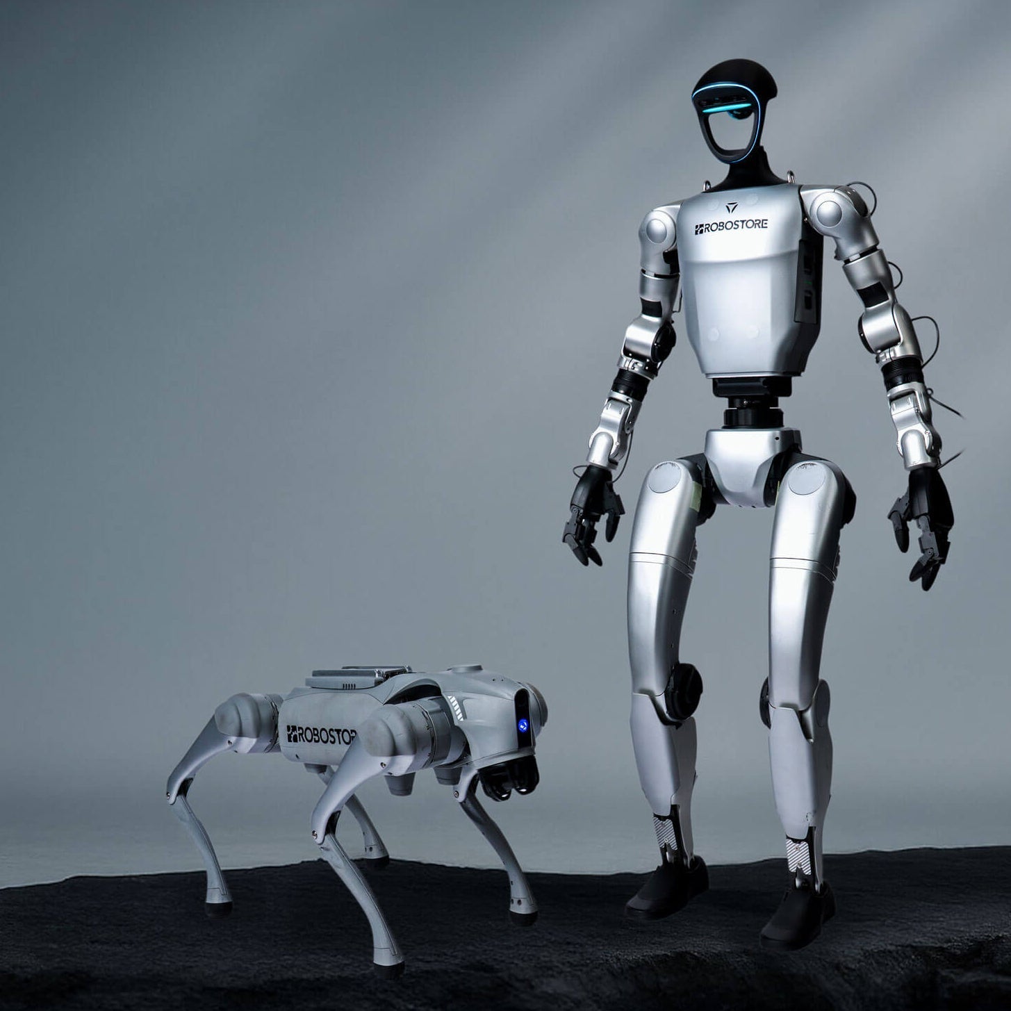 Advanced Unitree Quadruped & Humanoid Robots | Robostore – RoboStore